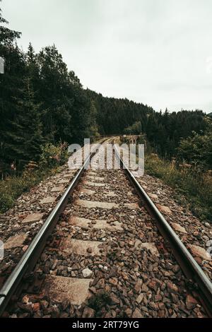 Rail road in the middle of the forest beside a river Stock Photo - Alamy