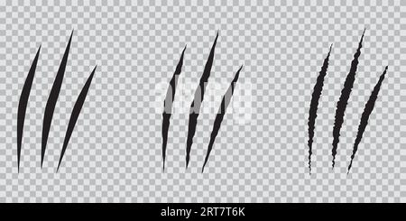 Cat scratch. Realistic set of animal claw marks isolated on transparent ...