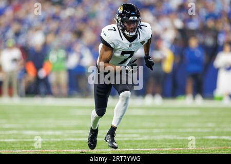 Jacksonville Jaguars wide receiver Zay Jones (7) makes a touchdown ...