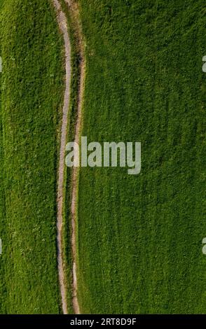 Drone shot, meadow path leads through mown meadows, from above ...