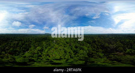360° view of Tropical Rainforest 360 VR - Alamy