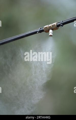 Sprinkler head from a high pressure outdoor cooling system, close-up ...