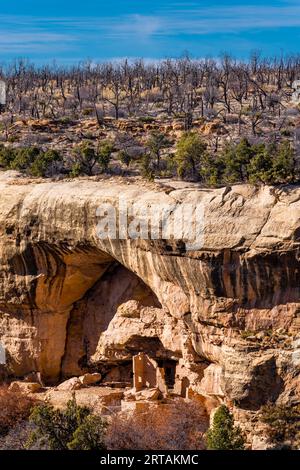 Ancient cliff dwellings of the ancestral pueblos in the Mesa Verde ...