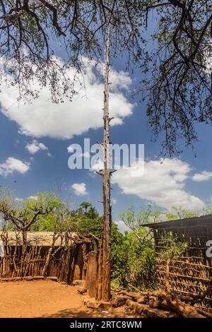 Generation pole in a traditional Konso village, Ethiopia. New pole is ...