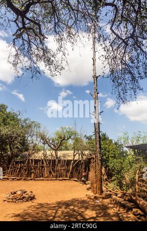 Generation pole in a traditional Konso village, Ethiopia. New pole is ...