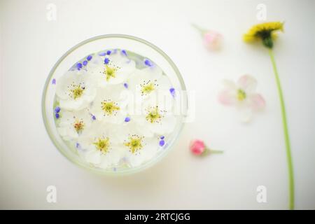 Yellow and purple flowers floating in yellow water Stock Photo - Alamy