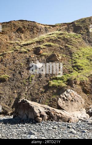 Sandymouth Bay Beach Cornwall Stock Photo - Alamy