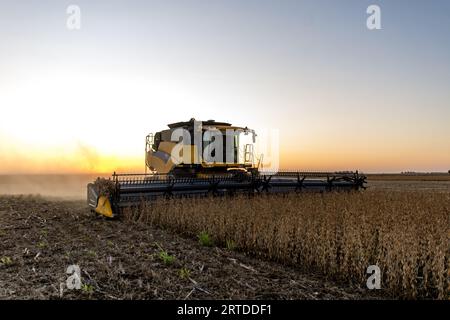 Combine harvester transferring corn grains to hopper in rural Argentine ...