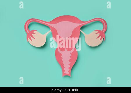 Paper uterus on turquoise background Stock Photo - Alamy