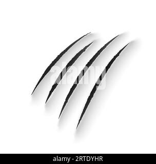 Tiger claw marks, scratches, predator nails vector trail. Wild animal ...