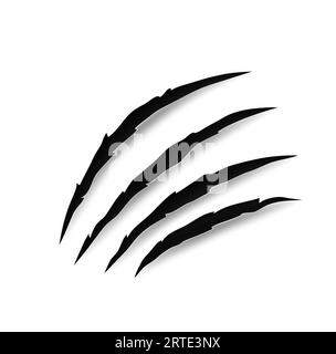 Slash cut scratches. Realistic monster claw marks Stock Vector Image ...