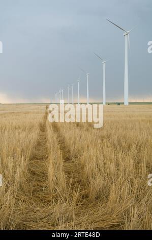 Wind turbines line the edge of a farm field in southwest Kansas ...