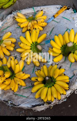 Bunches of yellow bananas on the stand in open-air fruit and vegetable ...