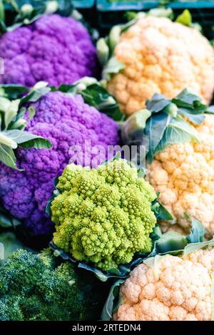 Assorted broccoli, romanesco and cauliflower. Fresh ripe ingredient for ...