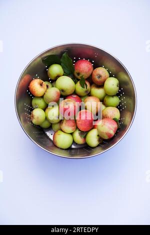 Apple Apples Food Freestanding Fresh Fruit Fruits Green Healthy ...