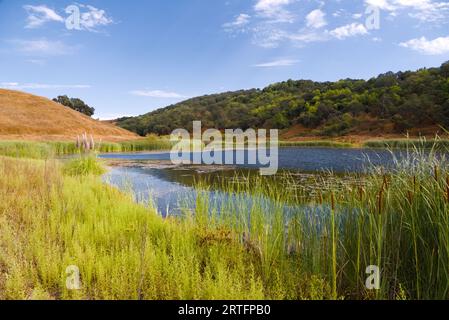 Calero Reservoir and rolling hills in a sunny day Stock Photo - Alamy