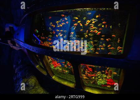 Vintage old underwater submarine with fishes inside at oceanarium ...