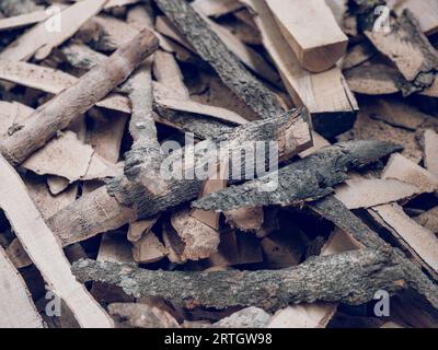 Horizontal full-frame texture of a dense patch of blooming purple ...