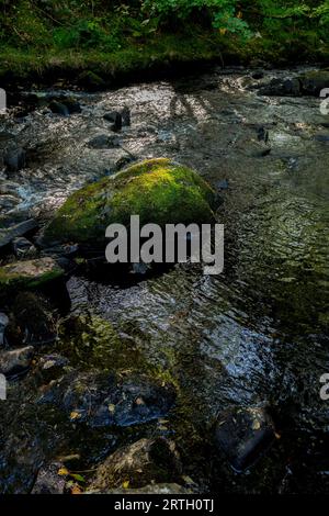 Nantcol river and waterfalls in a woodland setting Stock Photo - Alamy