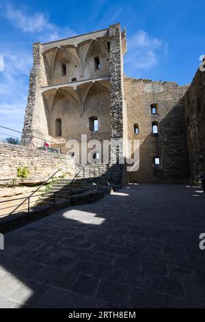 Château de Châteauneuf-du-Pape Destroyed by the Germans in World War II ...