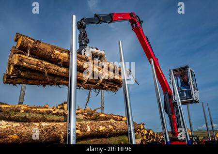 Loading timber logs onto a trailer in South Lanarkshire, Scotland Stock ...