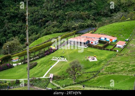 Overview of a coffee farm plantation in the Coffee Triangle region of ...
