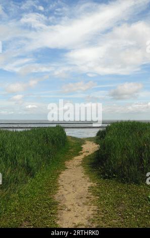 Wadden Sea National Park off Sylt Stock Photo - Alamy