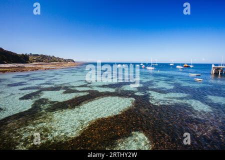 Flinders back beach and pier on a hot summer's evening in the ...