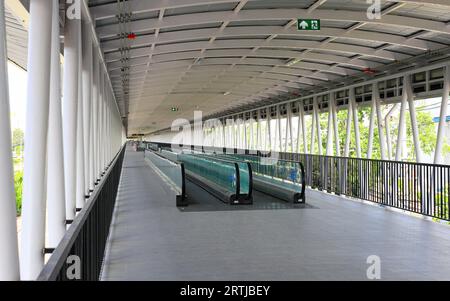 Pedestrian pathway or corridor or hallway with automatic walkway or ...