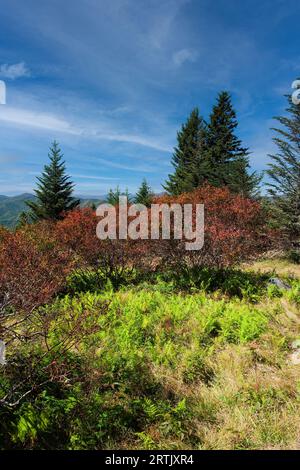 Andrews Bald in Autumn in the Great Smoky Mountains National Park Stock ...
