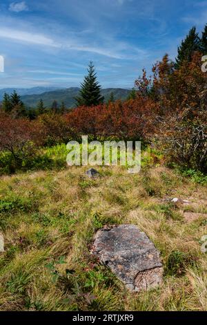 Andrews Bald in Autumn in the Great Smoky Mountains National Park Stock ...