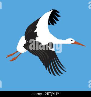 White Stork In Flight Stock Vector Image & Art - Alamy
