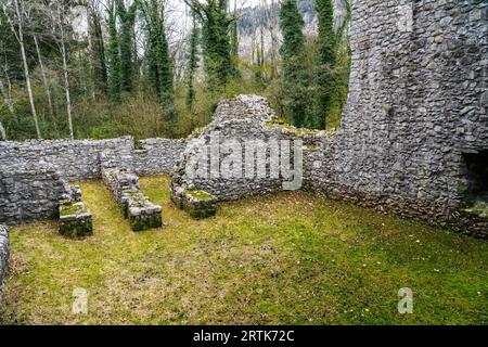 Weissenau Castle Ruins at Unterseen - Interlaken, Switzerland Stock ...