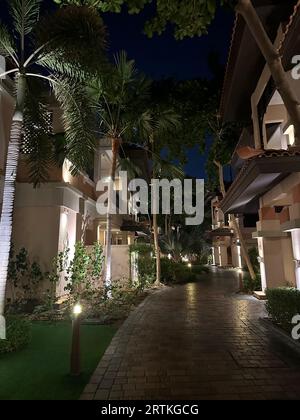Beautiful view of a pathway surrounded by trees and greenery Stock ...