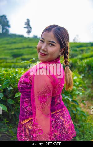 Beautiful orchid flower in Morning sun with drop of water on natural ...