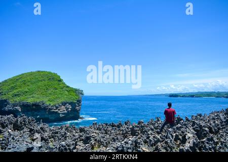 The view of coral on the beach of Srau, Pacitan, Indonesia, beautifies ...
