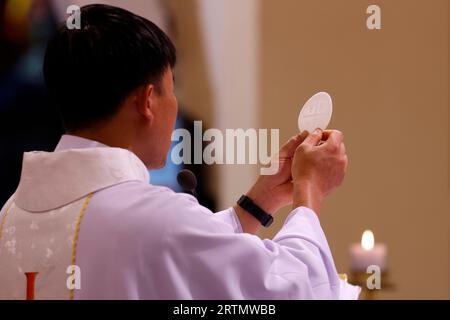 Back view of Priest with chasuble at Eucharist celebration, Sunday Mass ...