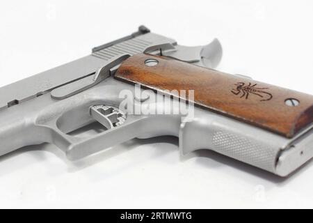 Safari Arms Matchmaster model 911 pistol in cal. 45ACP Stock Photo - Alamy