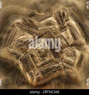 The image presents crystals of recrystallized kitchen salt ...