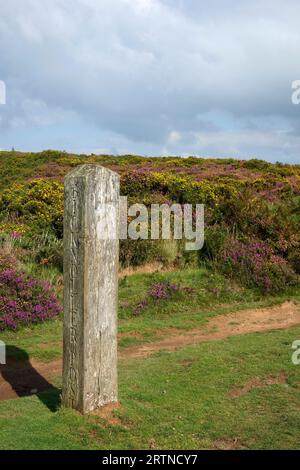 Bicknoller Post, Quantock Hills AONB, Somerset, England, UK in ...