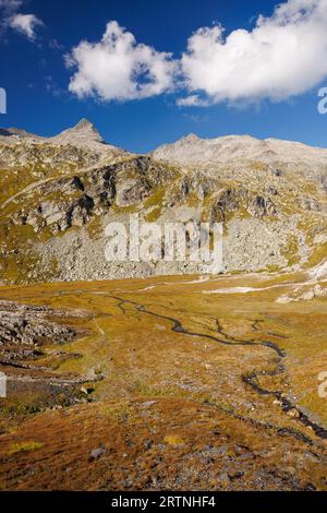 meandering creek on the alpine plateau of Greina, Surselva Stock Photo ...