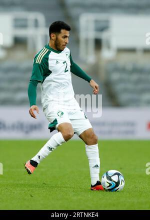 Saudi Arabia's Sultan Al-Ghannam during the FIFA World Cup Group C ...