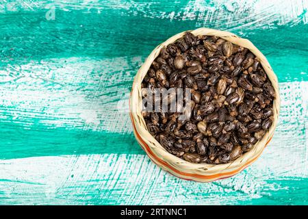 Ricinus communis seeds and hair oil - Natural product Stock Photo - Alamy