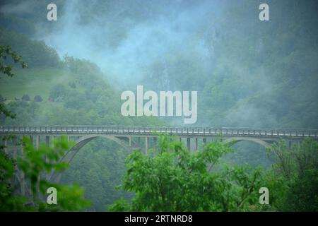 The Đurđevića Tara Bridge is the arch bridge that crosses the Tara, and ...