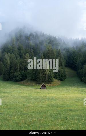 Morning view of a cabin on a small island in Ripley Cove, Maine, USA ...