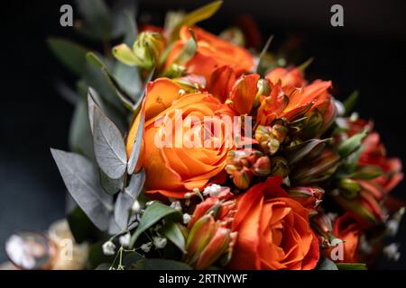 Beautiful, fresh orange roses on a background of green leaves Stock ...