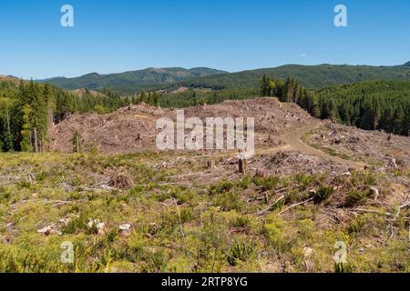 GRAYS RIVER, WASHINGTON, USA - Clearcut logging area on Route 4 east of ...