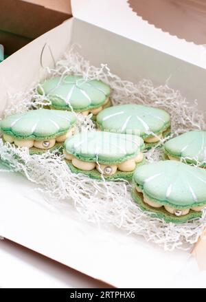 Sea shells shaped french macaroons in soft pastel green color in the ...