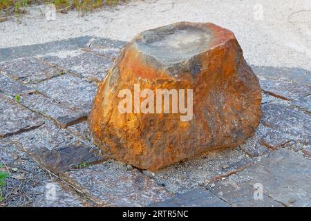 A Gilboa Dam fossilized Wattieza tree stump rests on top of Brachiopod ...