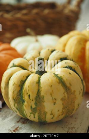 Different types of mini pumpkins color background Stock Photo - Alamy